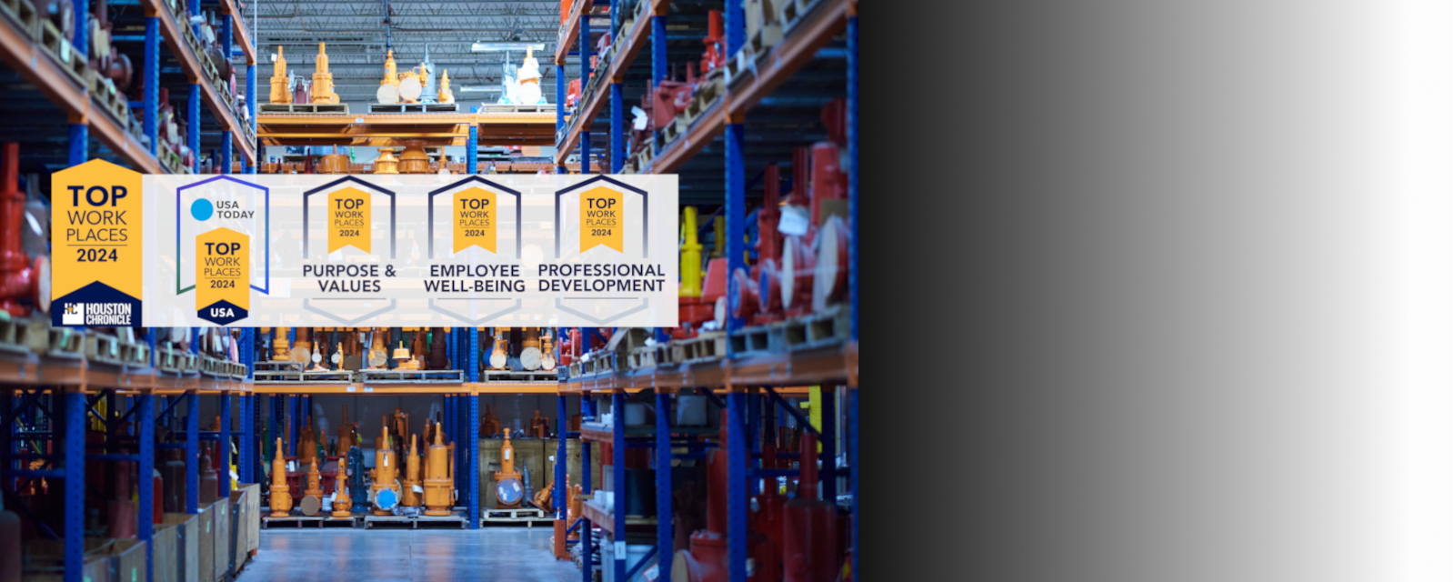 Puffer-Sweiven for Process Controls, Automation, Reliability, and Safety