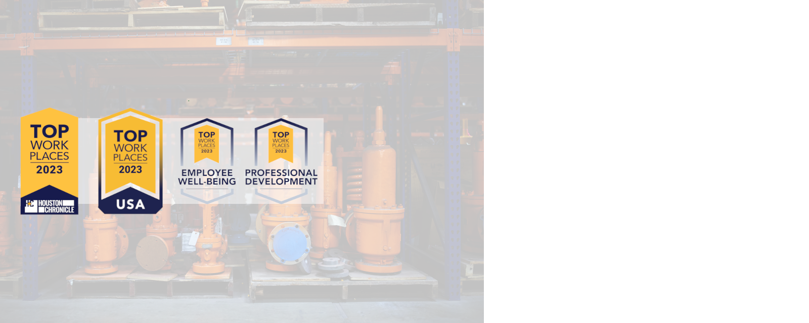 Puffer-Sweiven for Process Controls, Automation, Reliability, and Safety